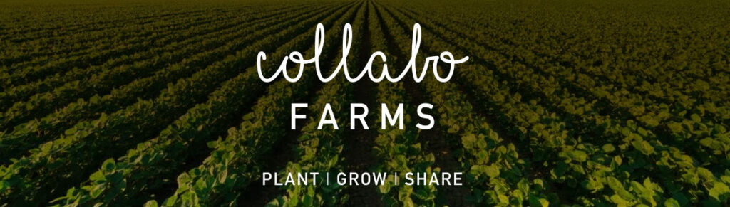FARM – COLLABO-CAMP