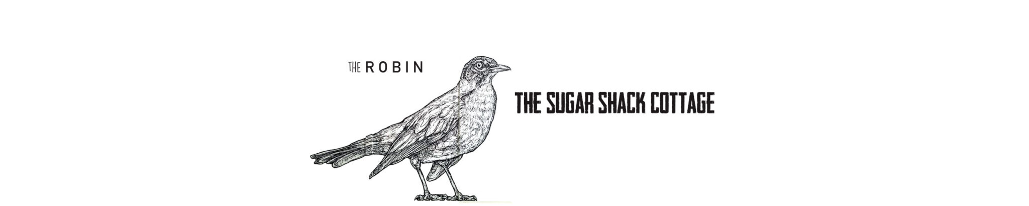 Robin – COLLABO-CAMP