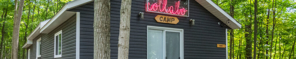 Robin – COLLABO-CAMP